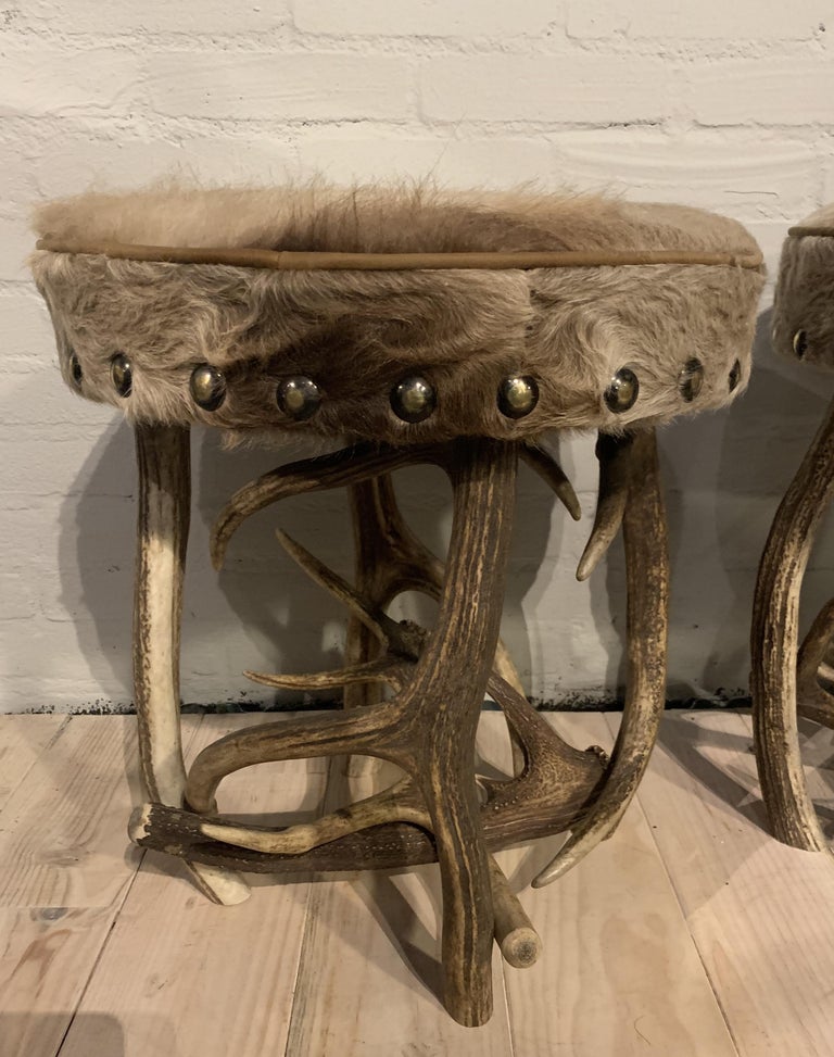 Pair of Antler Stools at 1stDibs