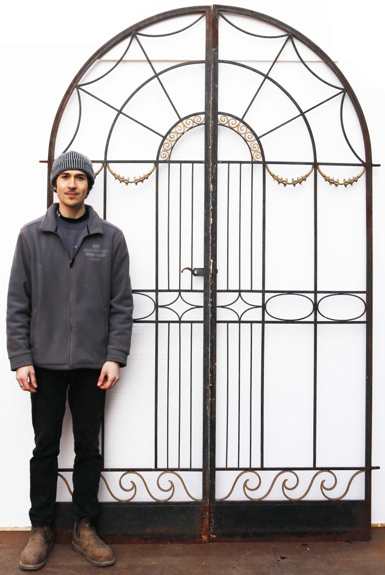 Pair of Arched Neoclassical Style Gates For Sale at 1stDibs