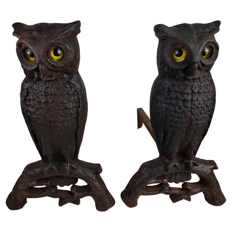 Pair of Arts and Crafts Cast Iron Owl Andirons with Glass Eyes For Sale ...