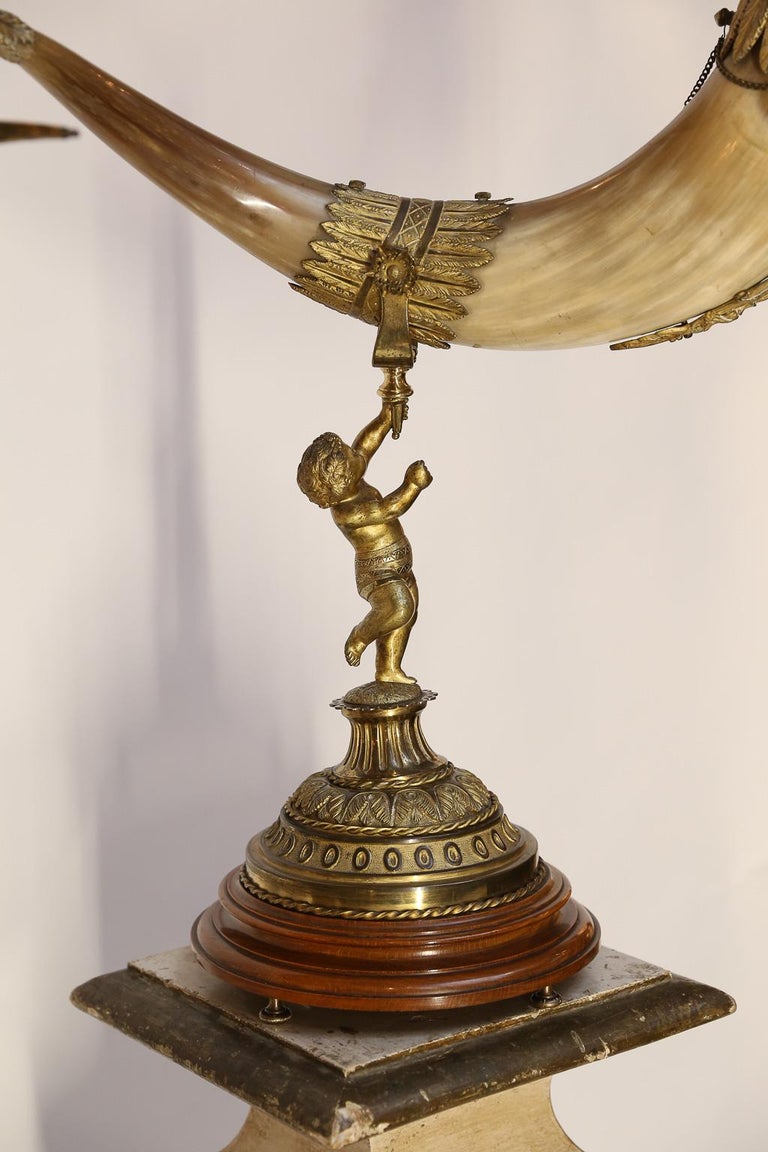 Pair of Austrian Commerative Cornucopia Horns with Gilt Bronze Mounts ...