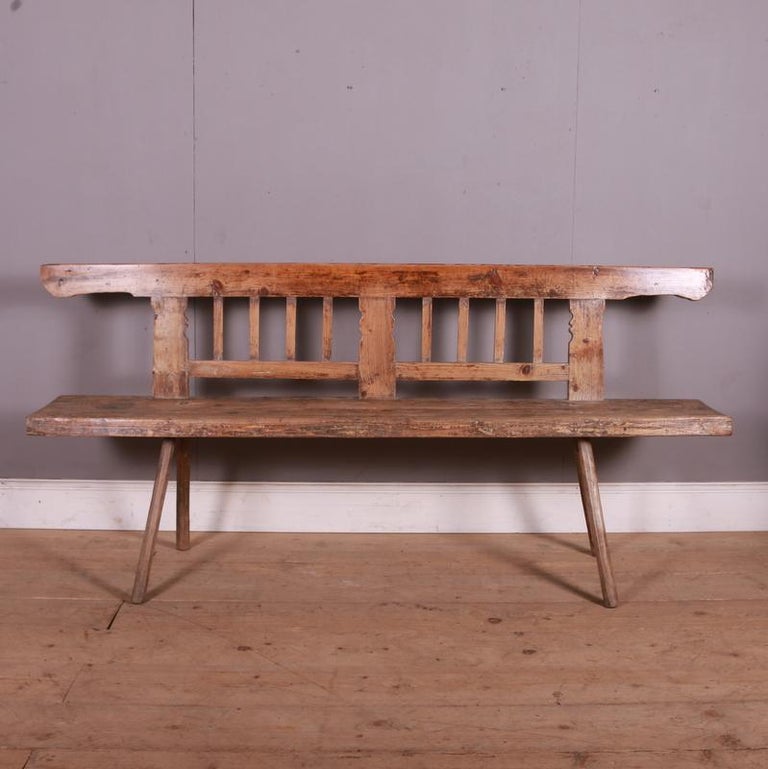 Pair of Austrian Pine Benches For Sale at 1stDibs