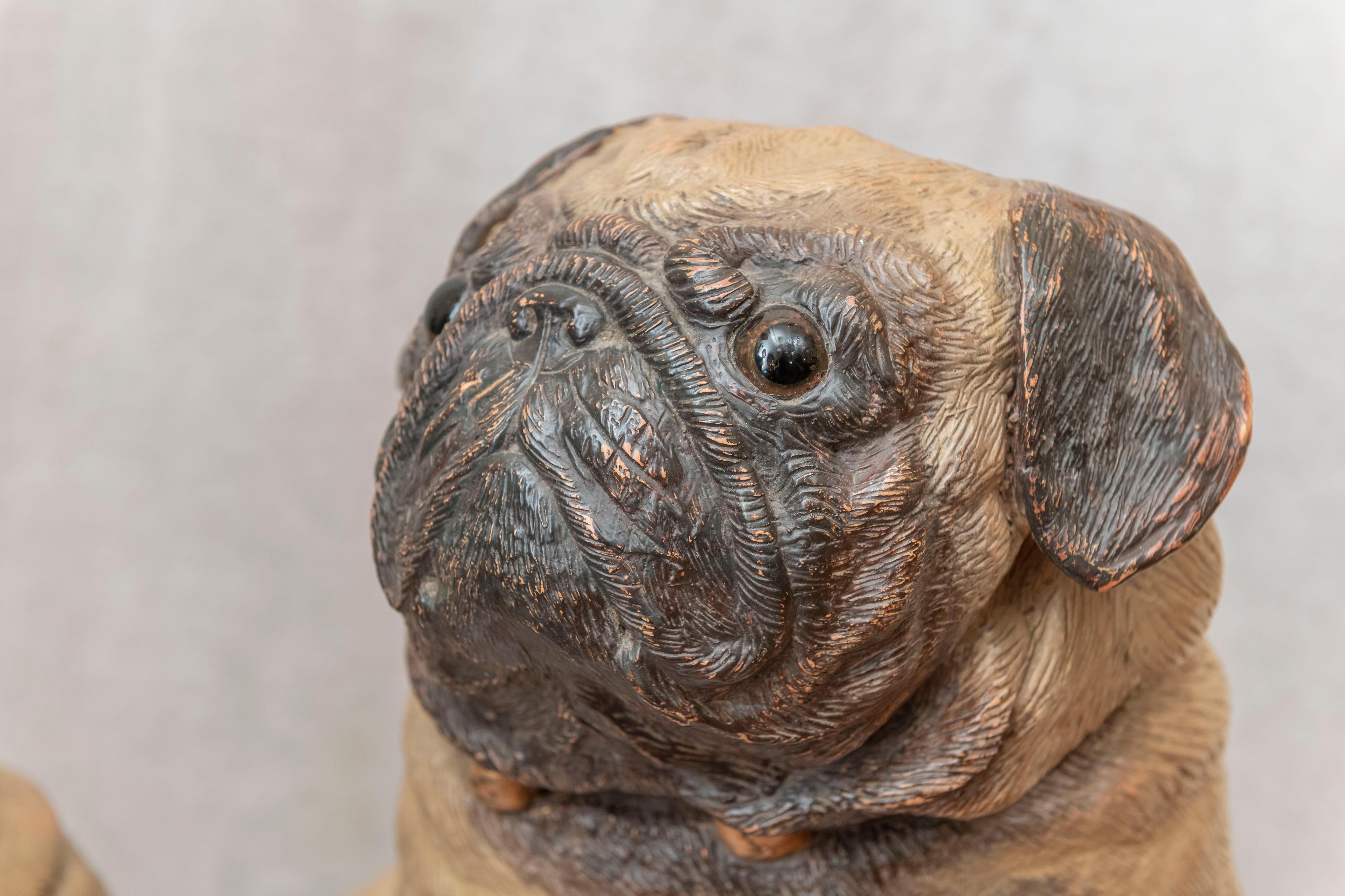 Pair of Austrian Terracotta Life Size Pug Dogs, circa 1890 at 1stDibs