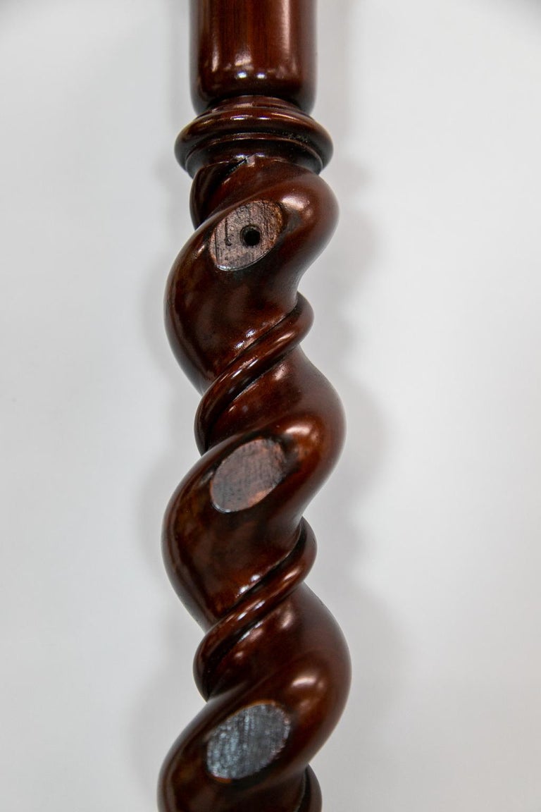 Pair of Barley Twist Mahogany Columns For Sale at 1stDibs