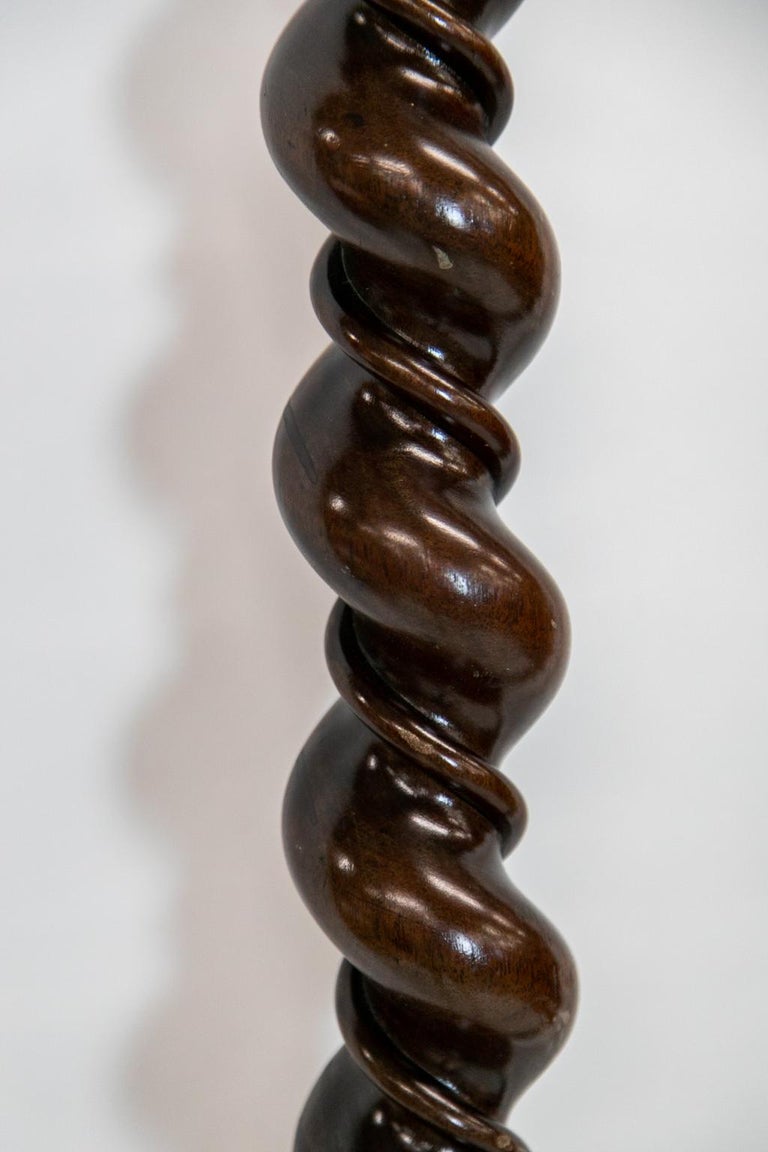 Pair of Barley Twist Mahogany Columns For Sale at 1stDibs