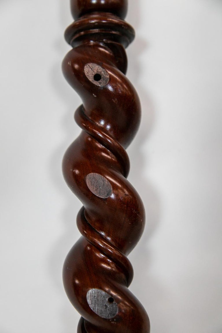 Pair of Barley Twist Mahogany Columns For Sale at 1stDibs