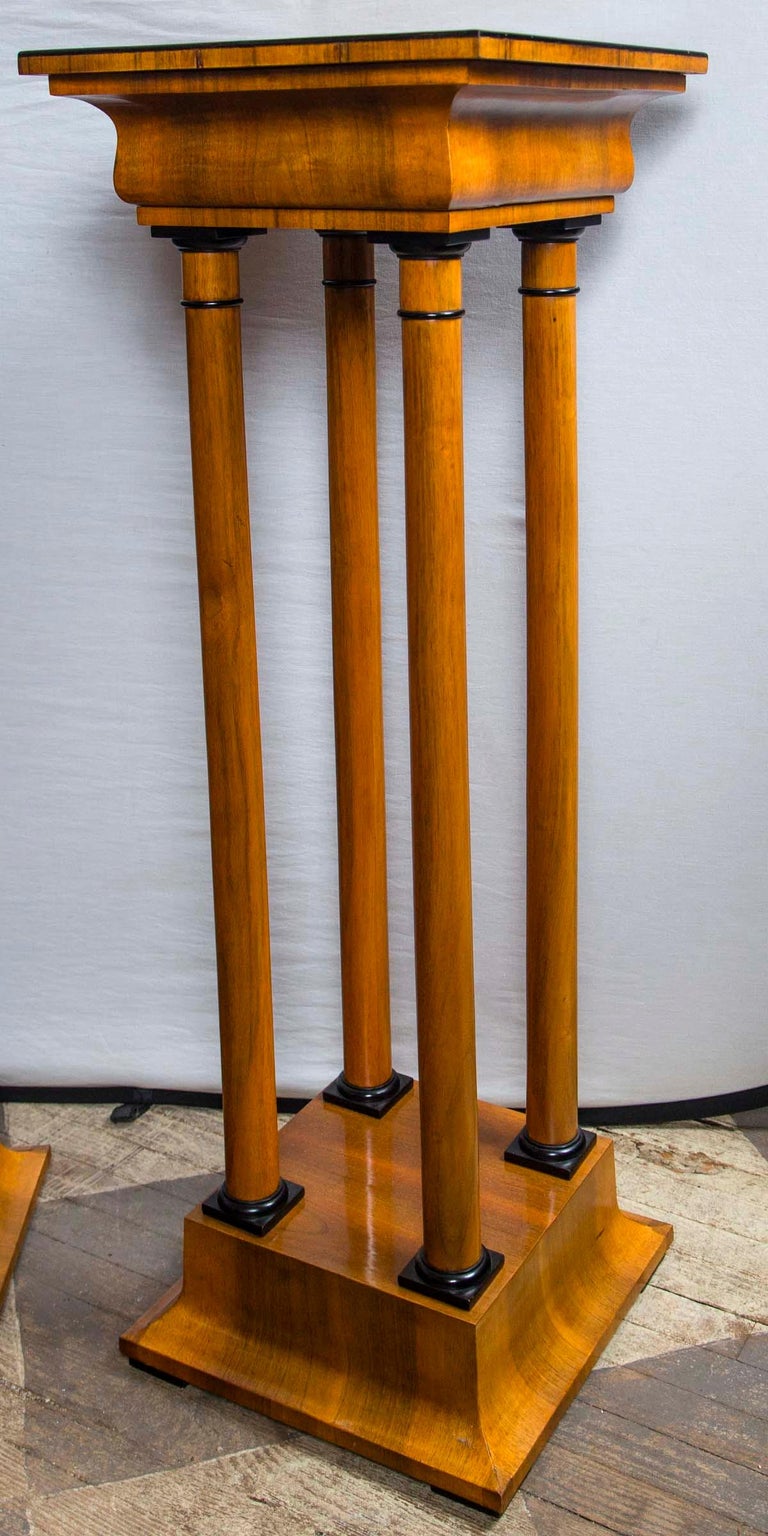 Pair of Biedermeier Style Plinths For Sale at 1stDibs