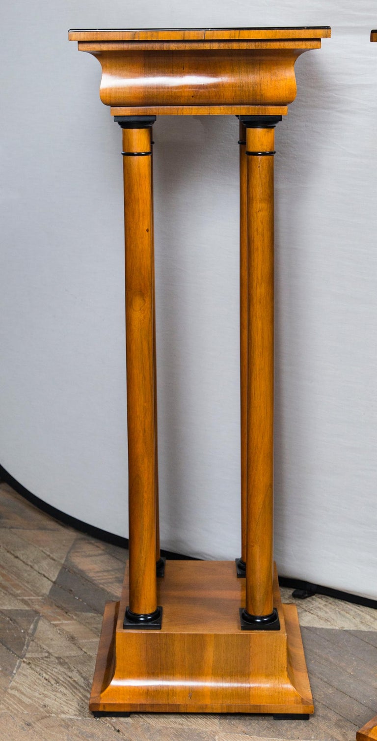 Pair of Biedermeier Style Plinths For Sale at 1stDibs