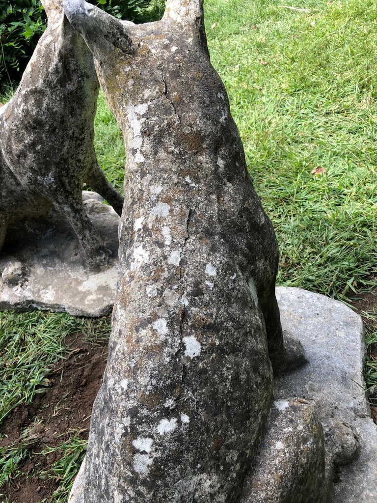 Pair of Belgian Cast Stone Australian Cattle/Shepherd Dogs with Superb ...