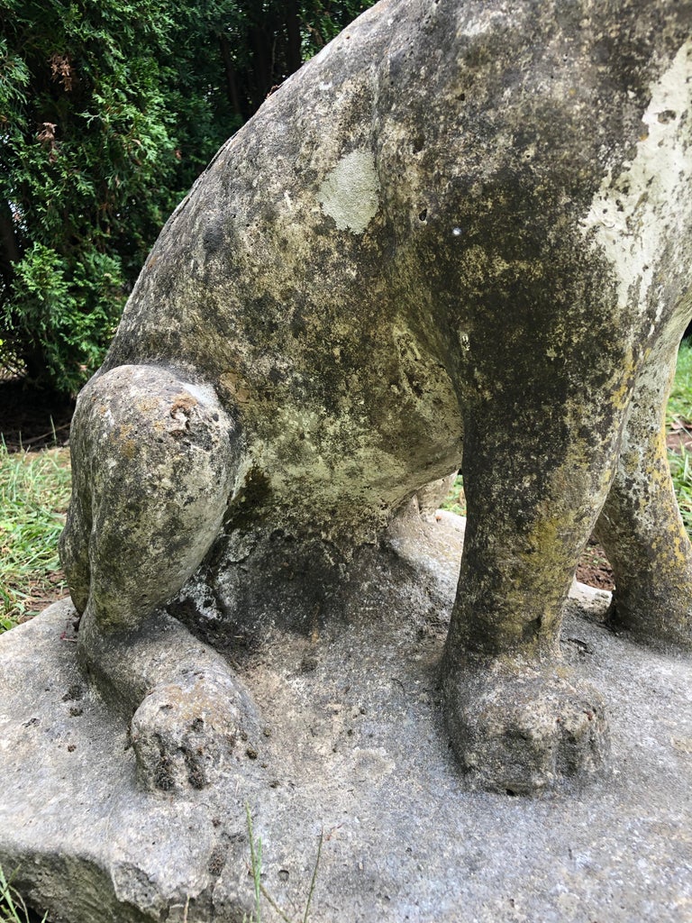 Pair of Belgian Cast Stone Australian Cattle/Shepherd Dogs with Superb ...