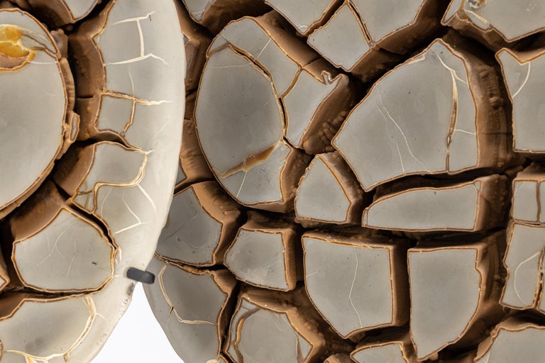 Pair of Belgium Calcite Septarian Nodule Natural Form on Metallic Base ...