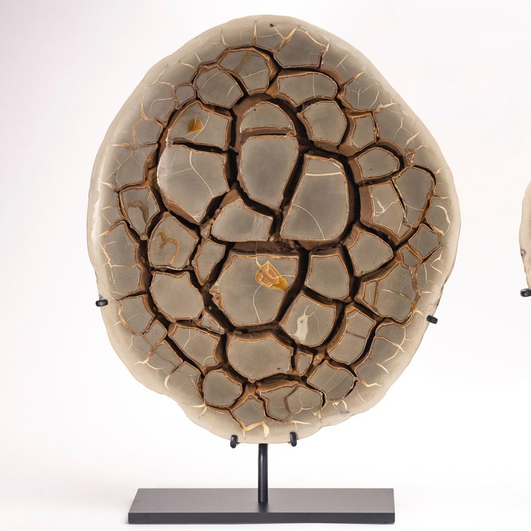 Pair of Belgium Calcite Septarian Nodule Natural Form on Metallic Base ...