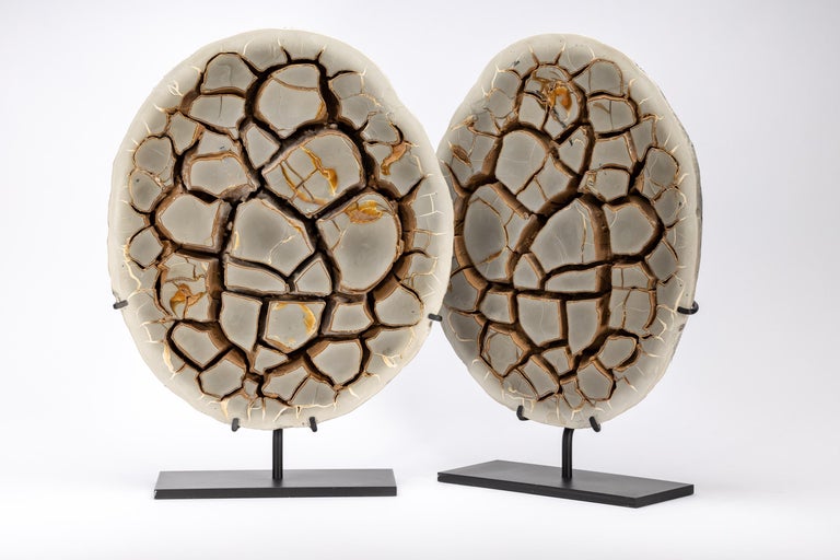 Pair of Belgium Calcite Septarian Nodule Natural Form on Metallic Base ...