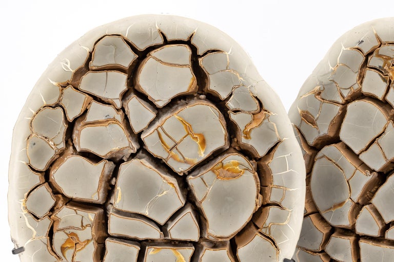 Pair of Belgium Calcite Septarian Nodule Natural Form on Metallic Base ...