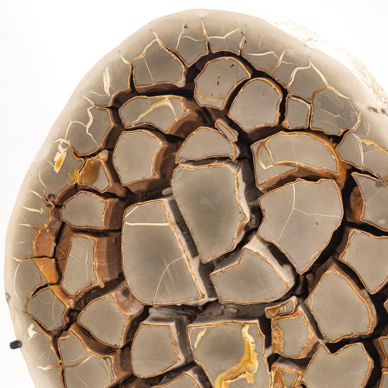 Pair of Belgium Calcite Septarian Nodule Natural Form on Metallic Base ...