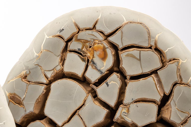 Pair of Belgium Calcite Septarian Nodule Natural Form on Metallic Base ...