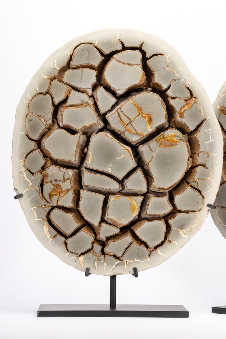 Pair of Belgium Calcite Septarian Nodule Natural Form on Metallic Base ...