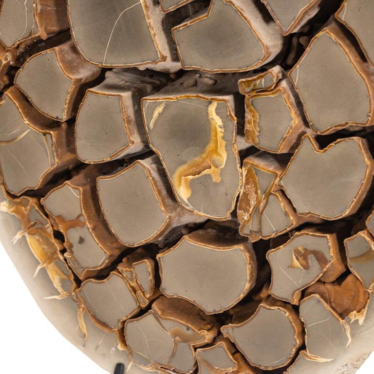 Pair of Belgium Calcite Septarian Nodule Natural Form on Metallic Base ...