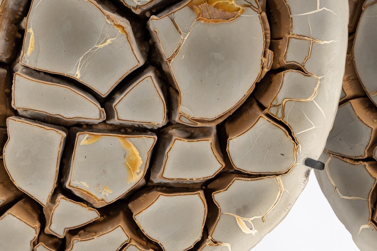 Pair of Belgium Calcite Septarian Nodule Natural Form on Metallic Base ...