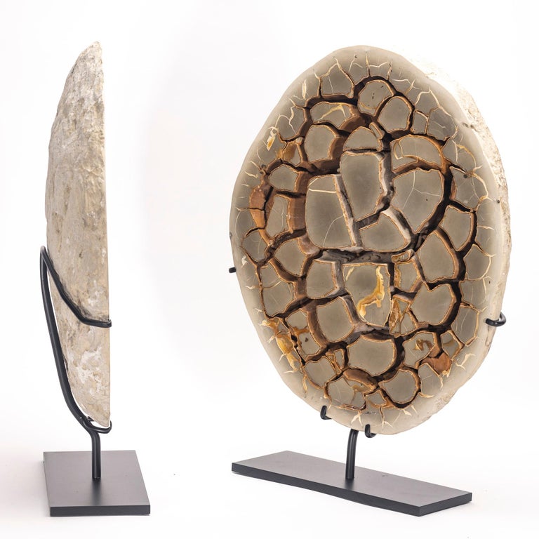 Pair of Belgium Calcite Septarian Nodule Natural Form on Metallic Base ...