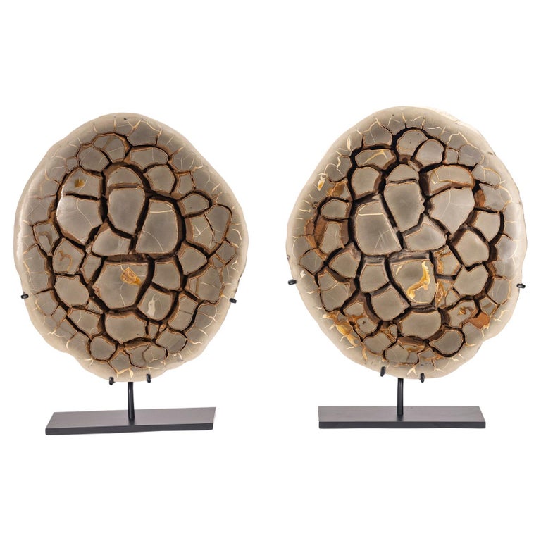 Pair of Belgium Calcite Septarian Nodule Natural Form on Metallic Base ...