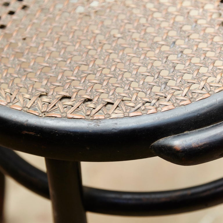 Pair Of Bentwood And Rattan Hofman Black Chairs Circa 1900 For Sale At