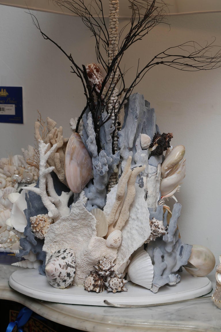 Pair of Blue Ridge Coral Lamps For Sale at 1stDibs | coral lamps for sale