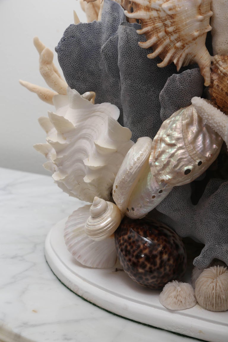 Pair of Blue Ridge Coral Lamps For Sale at 1stDibs | coral lamps for sale