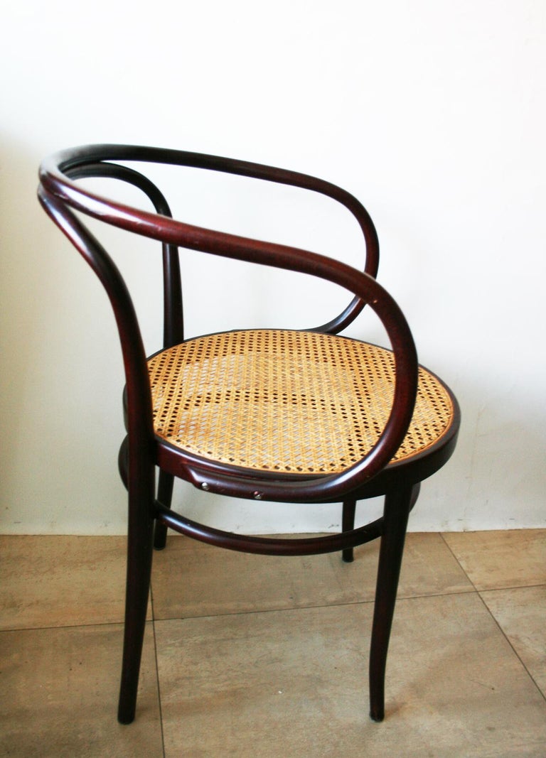 Pair of Cane and Bentwood Chairs after Thonet 209, 1950s For Sale at ...