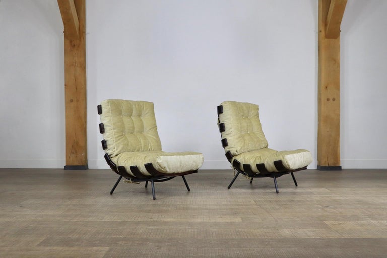 Pair of Carlo Hauner and Martin Eisler Costela Chairs, Brazil, 1950s at ...