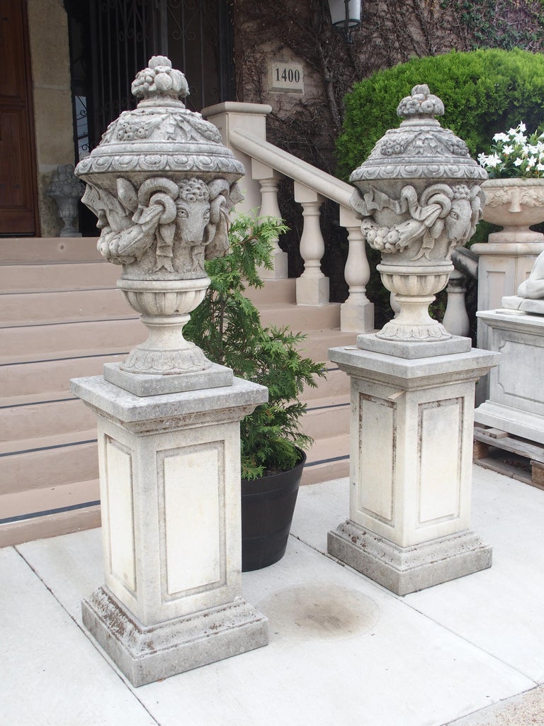 Pair of Carved Limestone Ram Heads Vases on Pedestals at 1stDibs