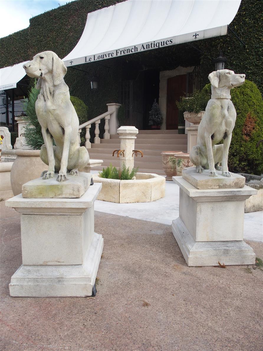Pair of Cast Stone European Pointers on Pedestals after Jacquemart ...