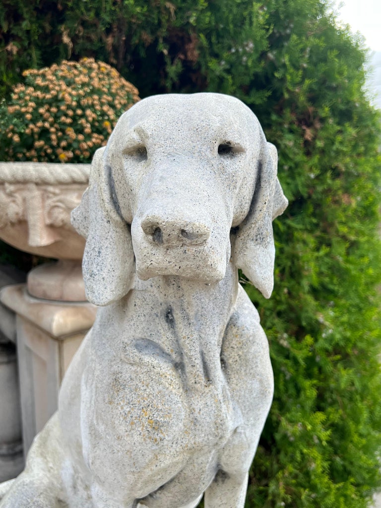 Pair of Cast Stone European Pointers on Pedestals after Jacquemart ...