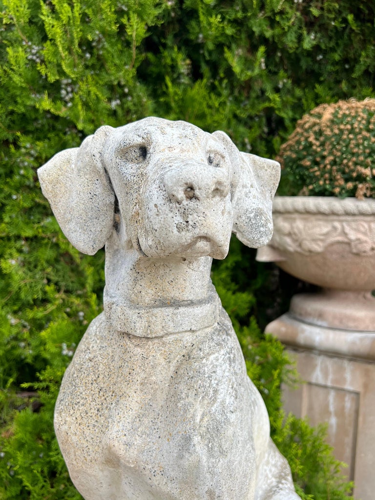 Pair of Cast Stone European Pointers on Pedestals after Jacquemart ...
