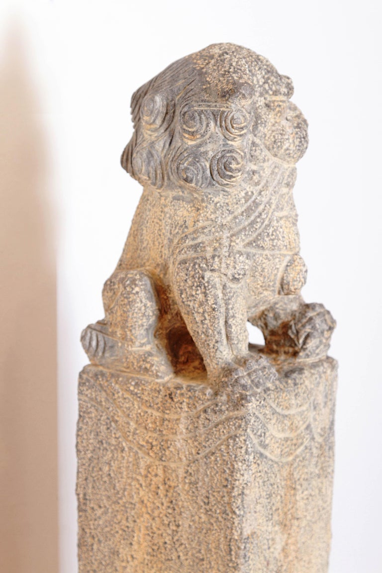 Pair of Chinese Foo Dog Hitching Posts at 1stDibs