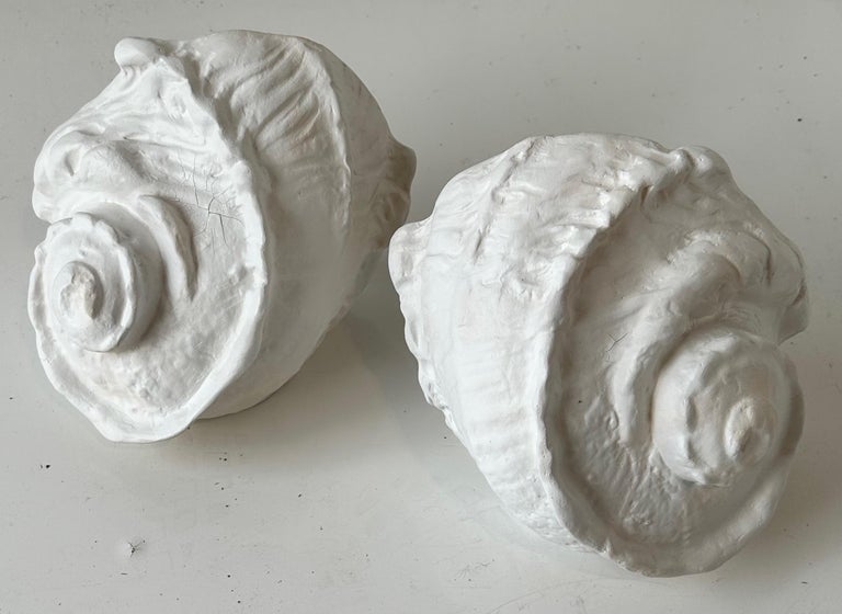 Pair Of “Conch” Plaster Sconces in the Style of Serge Roche For Sale at ...