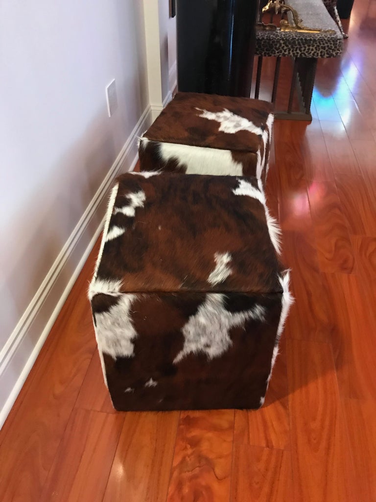 Pair of Cow Hide Benches or Ottomans at 1stDibs