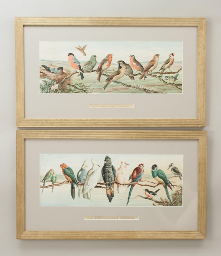 Pair of Cricket Prints, Harry Bright, an English Team and an Australian ...