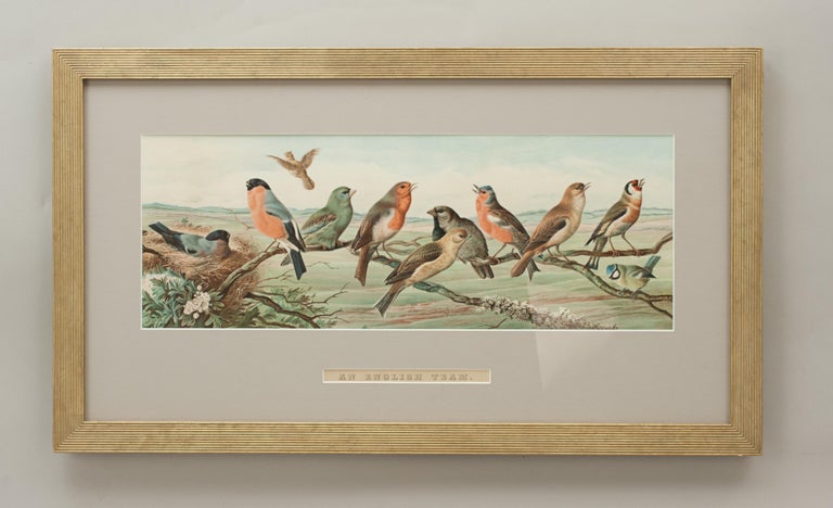 Pair of Cricket Prints, Harry Bright, an English Team and an Australian ...