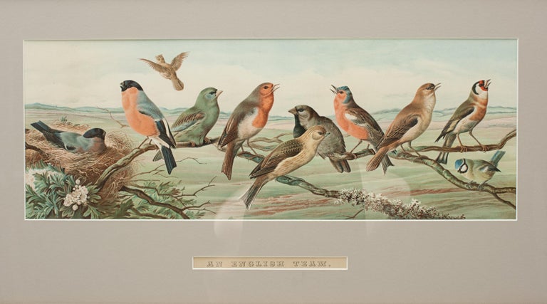 Pair of Cricket Prints, Harry Bright, an English Team and an Australian ...