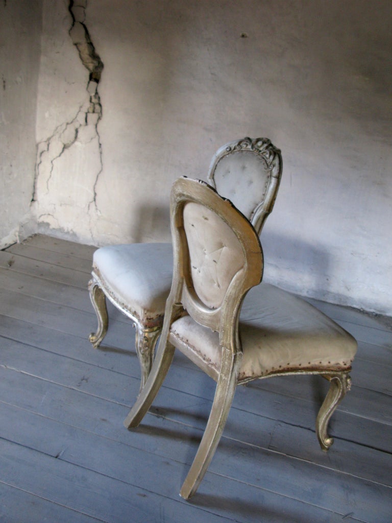 Pair of Dining Chairs, French Chairs, Gilded Chairs, Side Chairs, 19th ...