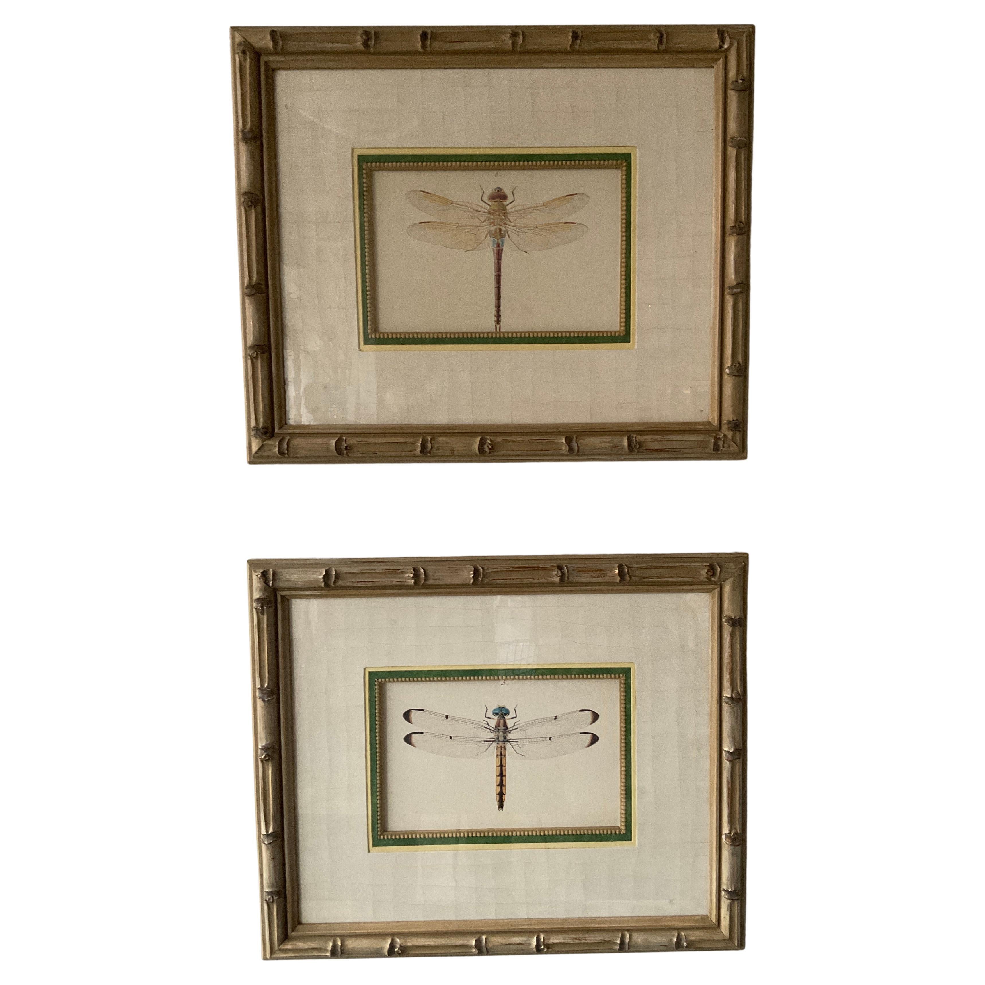Pair of Large Urn Prints in Custom Frames For Sale at 1stDibs