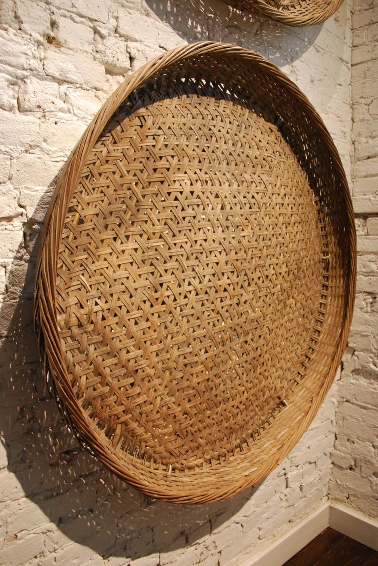 Pair of Early 20th Century Japanese Winnowing Baskets, Pair at 1stDibs