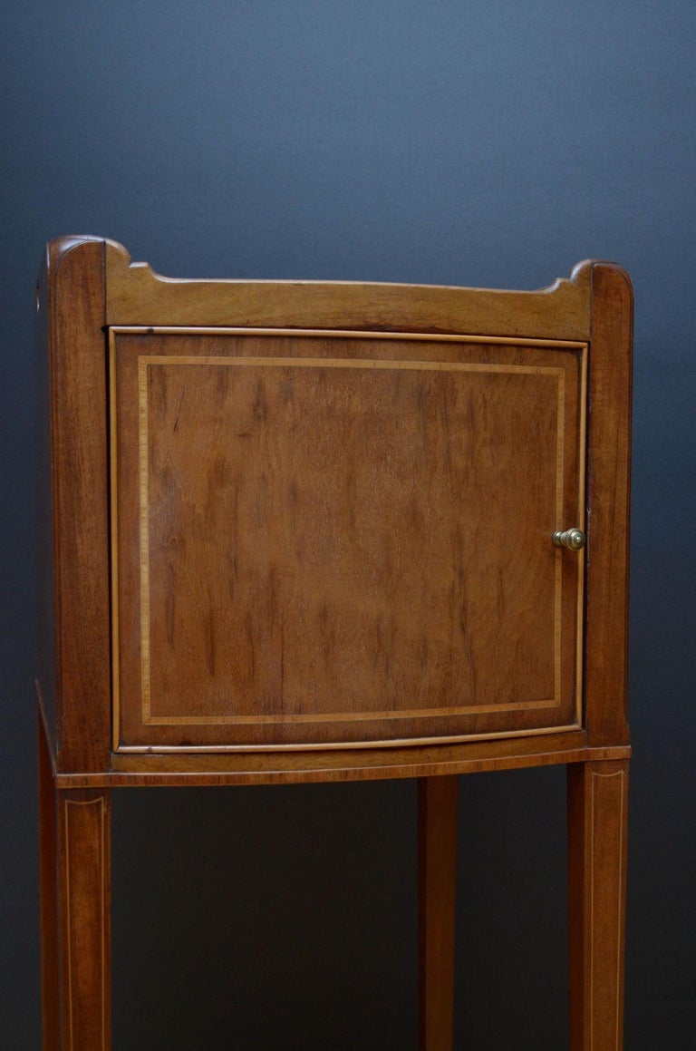 Pair of Edwardian Mahogany Bedside Cabinets at 1stDibs
