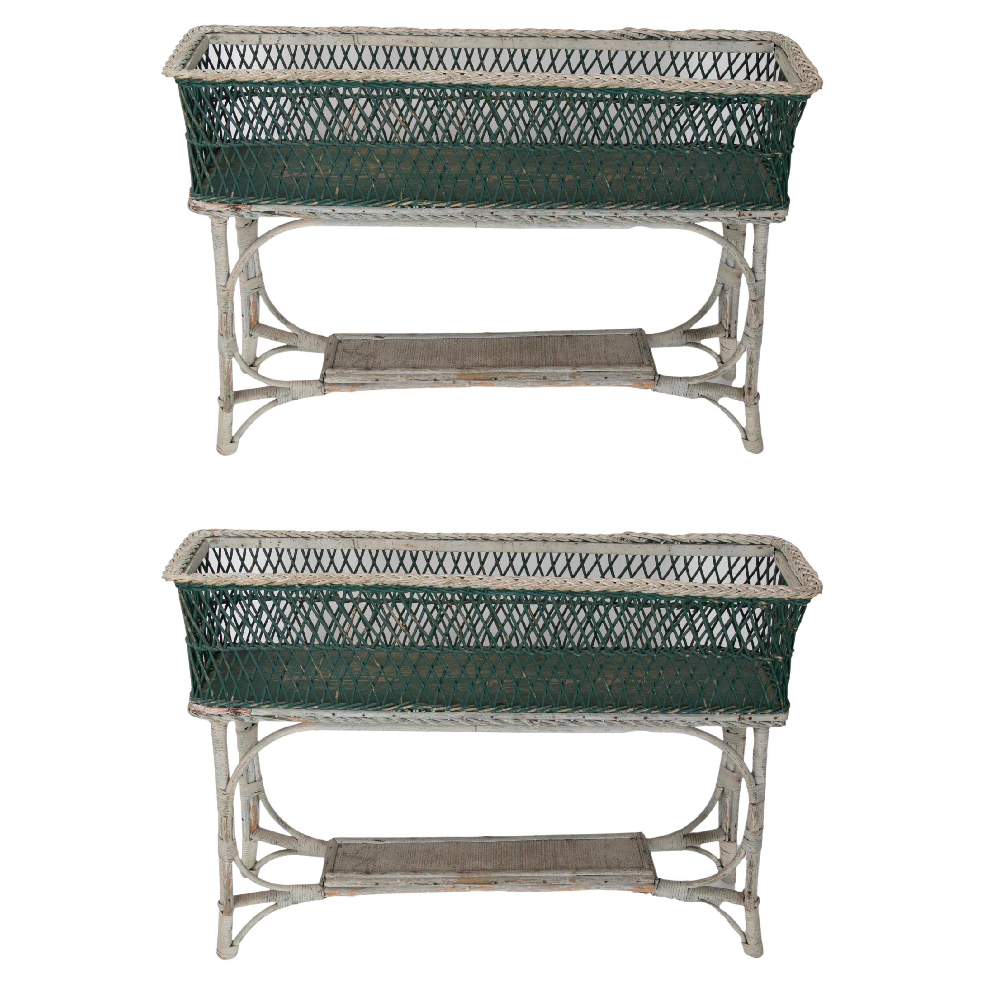 Antique Wicker Planter at 1stDibs