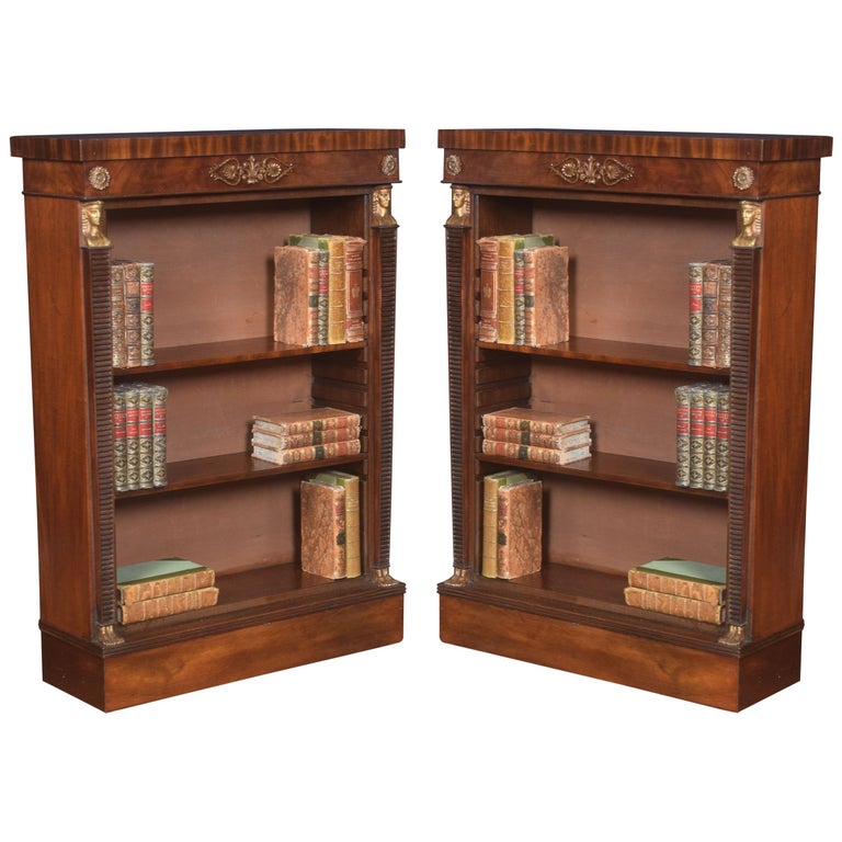 Pair of Empire Style Bookcases at 1stDibs