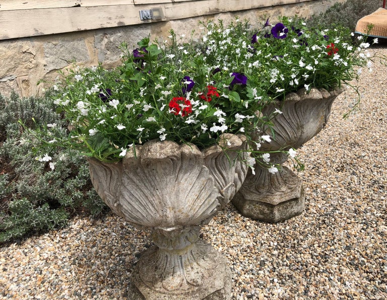 Pair of English Acanthus-Leaf Cast Stone Urns at 1stDibs