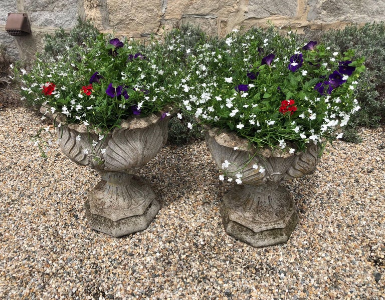 Pair of English Acanthus-Leaf Cast Stone Urns at 1stDibs