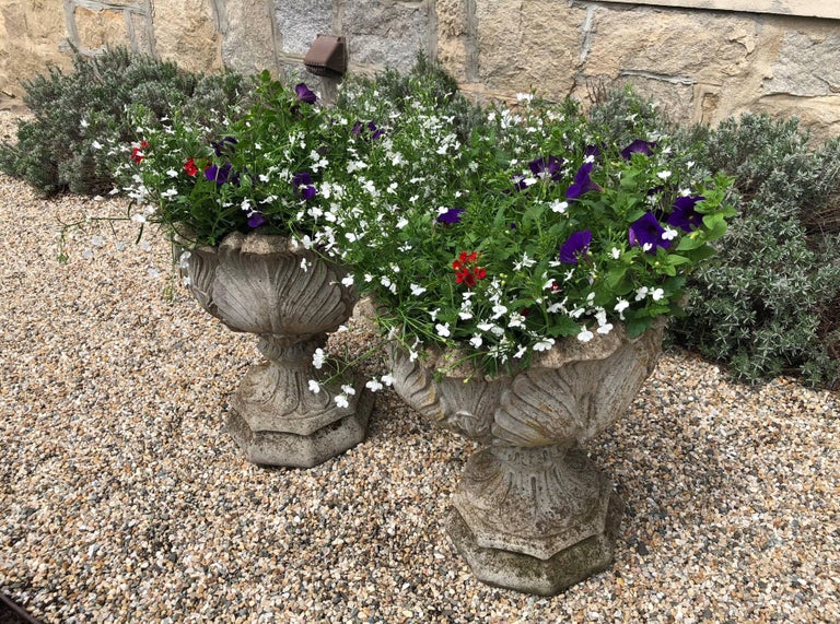 Pair of English Acanthus-Leaf Cast Stone Urns at 1stDibs