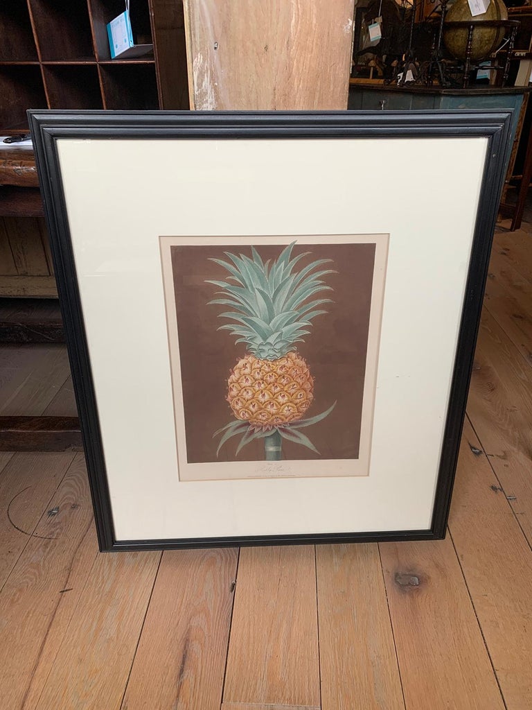 Pair of English Aquatint Engravings from George Brookshaw's Pomona ...