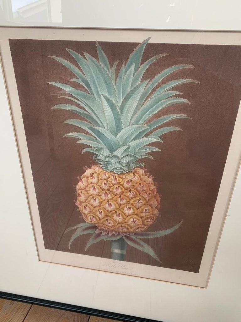 Pair of English Aquatint Engravings from George Brookshaw's Pomona ...